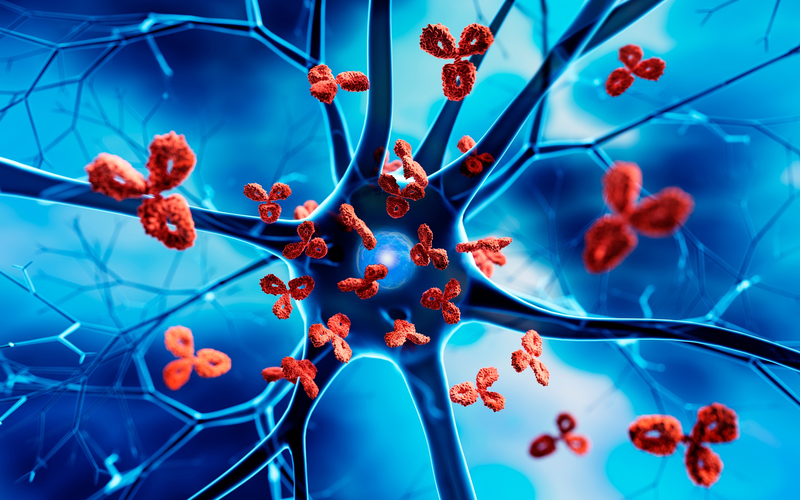 Choroba autoimmunologiczna – przyczyny, objawy i leczenie